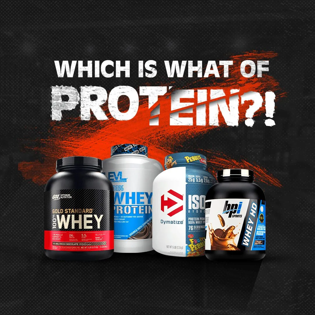 Which is what of protein?! | NBS Supplements